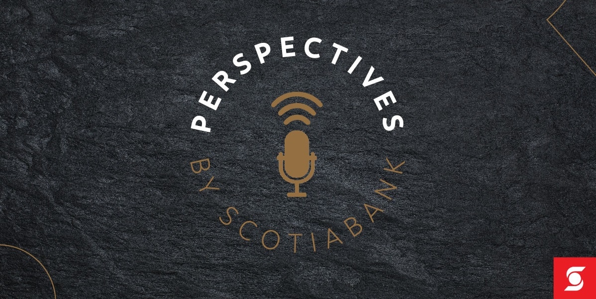 Perspective podcast: What the latest interest rate hike means for ...