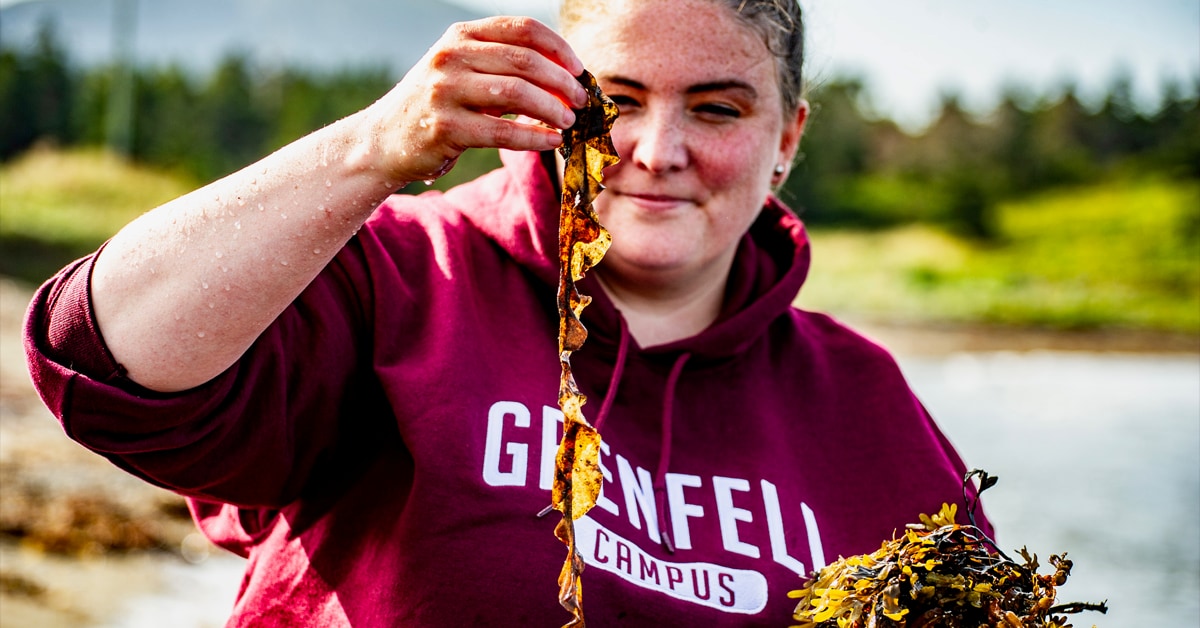 Craving Seaweed Lets Find Some