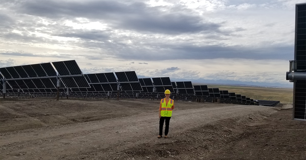 Alberta solar project provides Scotiabank with renewable electricity ...