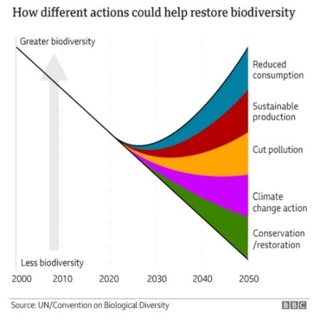 Sustainable finance takes note of biodiversity risks and opportunities ...