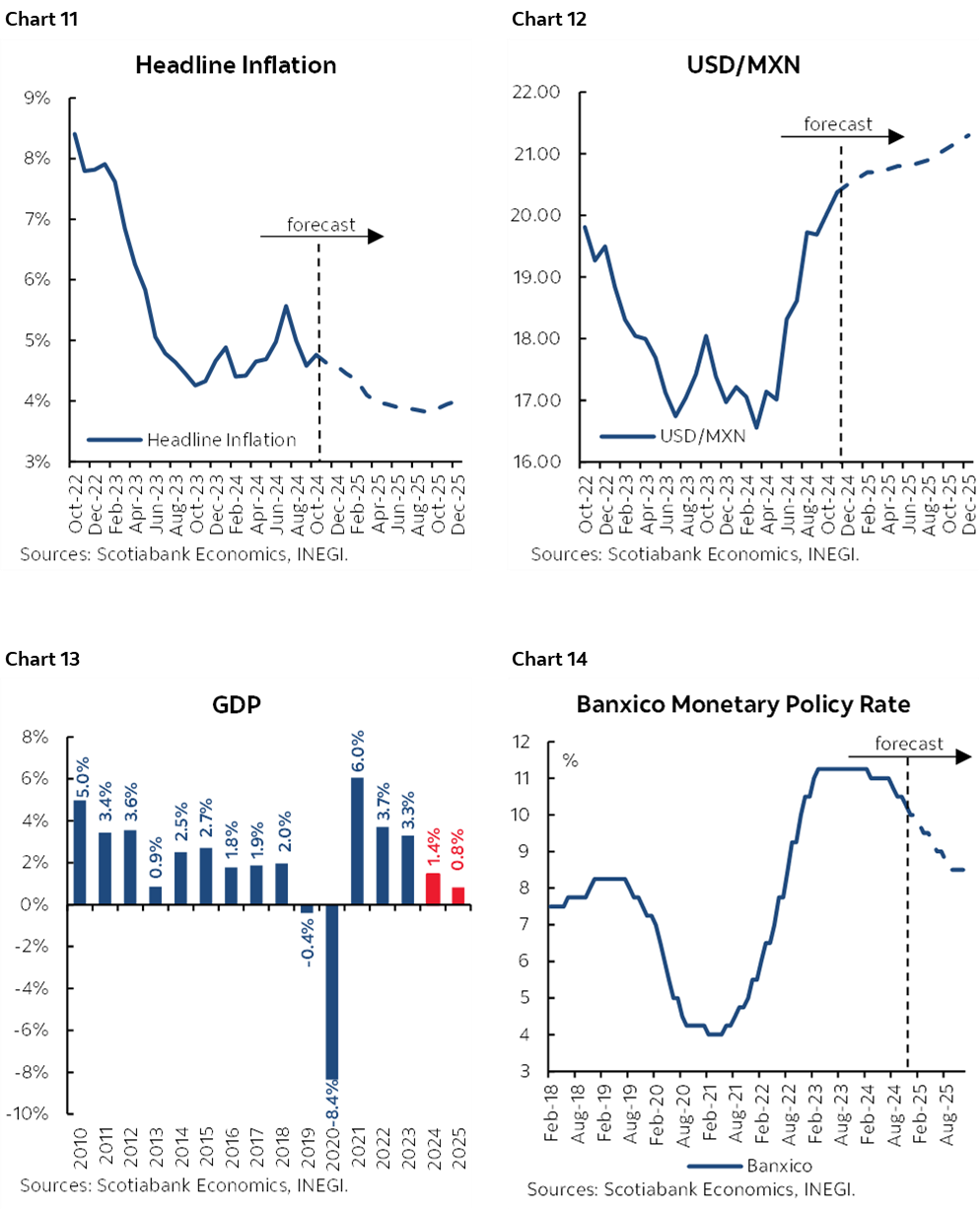 Latam Insights: Mexican Economic Outlook: No End to Uncertainty in 2025 ...